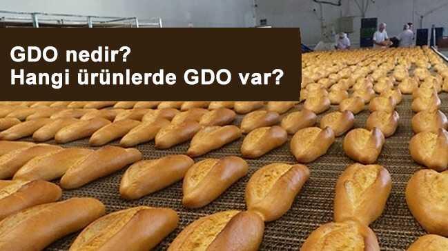 GDO nedir? Ekmekte GDO'lu soya var mı?