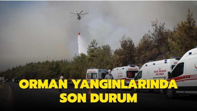 Tarım ve Orman Bakanı Bekir Pakdemirli duyurdu... Orman yangınlarında ...