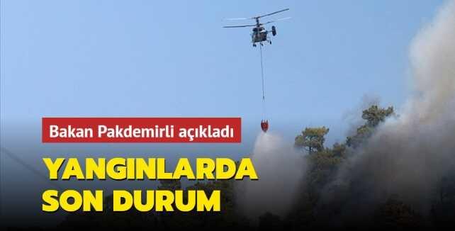 Tarım ve Orman Bakanı Bekir Pakdemirli: 5 ilde 13 orman yangını devam ...
