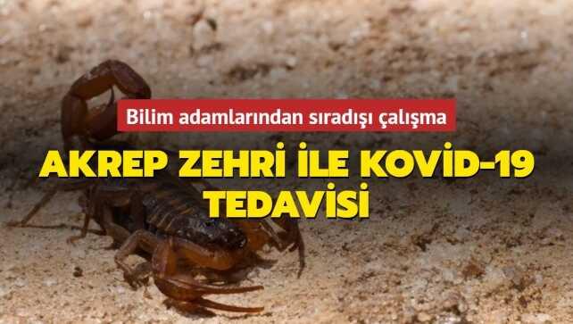 Bilim adamlarından sıradışı çalışma... Akrep zehri ile Kovid-19 ...