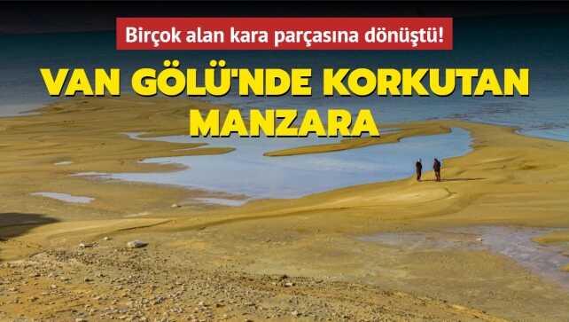Birçok alan kara parçasına dönüştü! Van Gölü'nde korkutan manzara