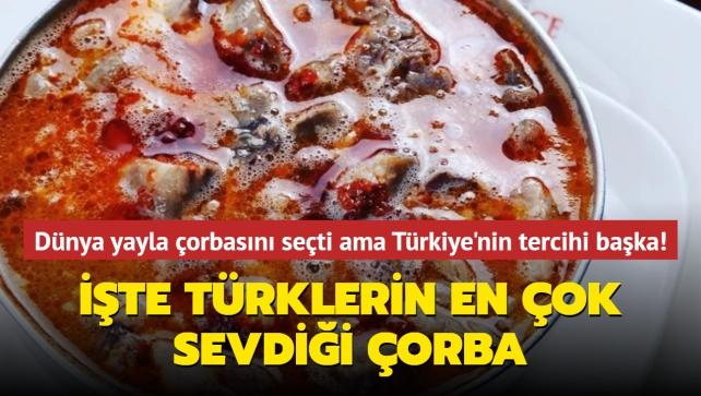 Türklerin en çok sevdiği çorba! Dünya yayla çorbasını seçti ama Türkiye ...