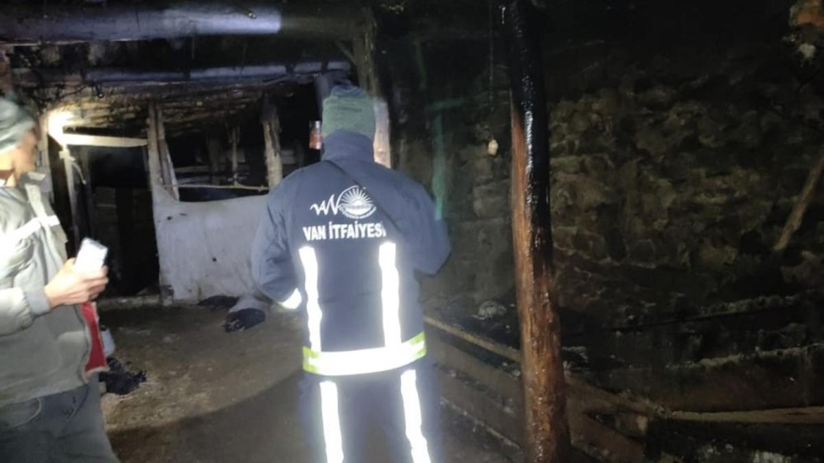 Van'ın Saray ilçesinde ahırda çıkan yangında 32 hayvan telef oldu