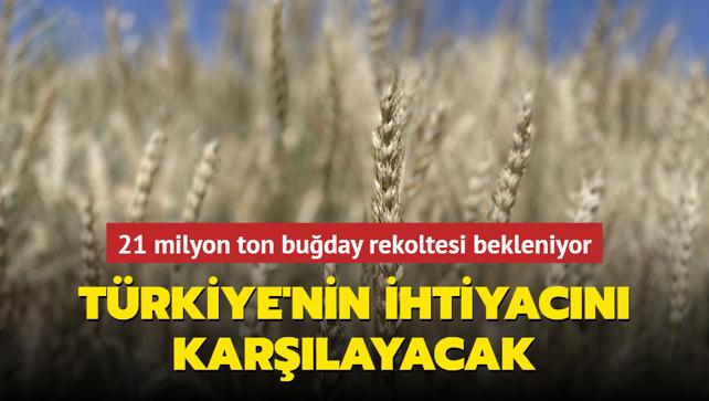 21 milyon ton buğday rekoltesi bekleniyor... Türkiye'nin ihtiyacını ...