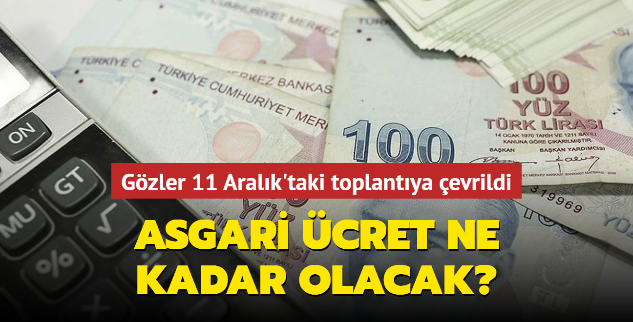 Asgari üCret Ne Kadar 2026 - Patsy Maurizia Asgari üCret Ne Kadar 2026 - Patsy Maurizia