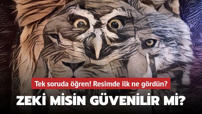 Kişilik testi: Zeki misin güvenilir mi? Tek soruda öğren! Resimde ilk ...