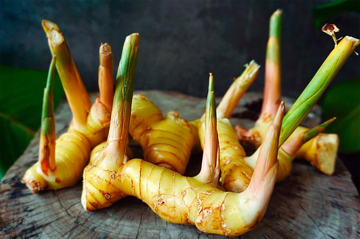 Tıpkı zencefil ve patates gibi kök bitki! Bağışıklık çelik gibi oluyor ...