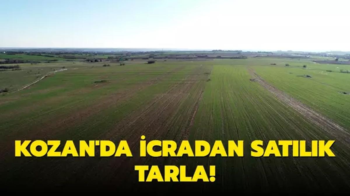Kozan'da icradan satılık tarla!