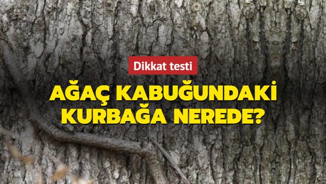 Zeka sınırlarını zorlayan viral test! Dikkat testi