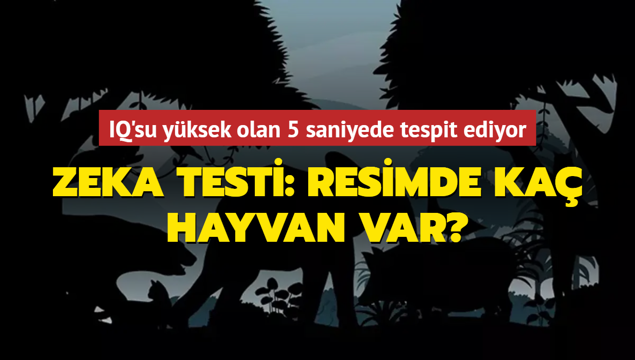 Zeka testi: IQ'su yüksek olan 5 saniyede tüm hayvanları tespit ediyor