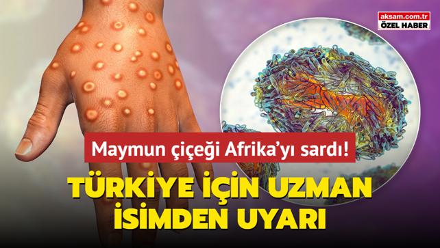 Maymun çiçeği Afrika'yı sardı! Türkiye' de var mı, Maymun çiçeği ...