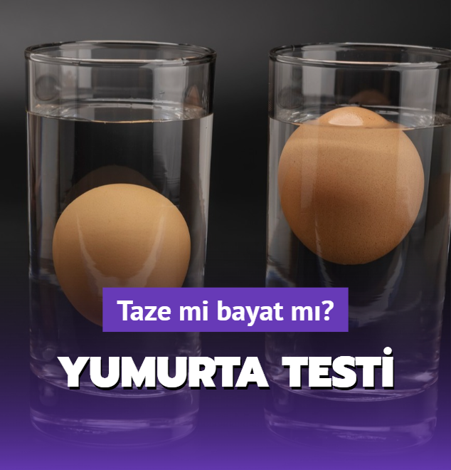 Taze mi bayat mÄ±? SoÄuk suda yumurta testi, bozuk olan...