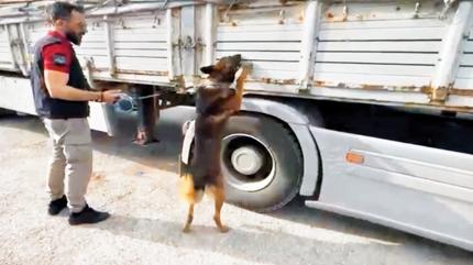 Zehir tacirlerine ağır darbe